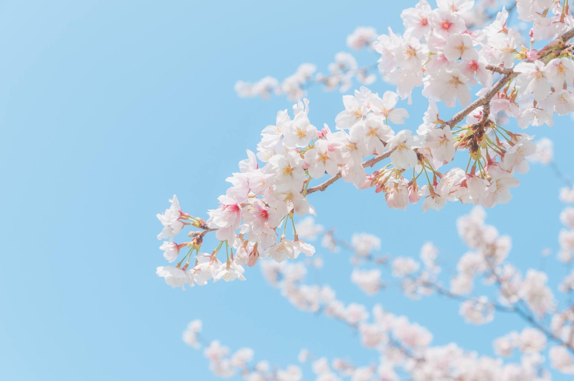 総合型選抜（旧AO入試）のスケジュール！応募から合格発表までの行程をやさしく解説 | 推薦ナビ